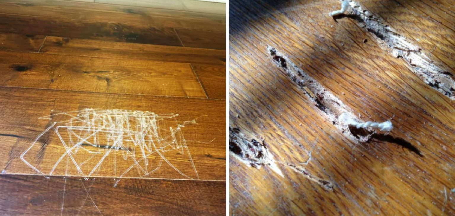 How to Remove Scratches From LVP Flooring | 10 Easy Steps (2025) How to Remove Scratches From LVP Flooring | 10 Easy Steps (2025)